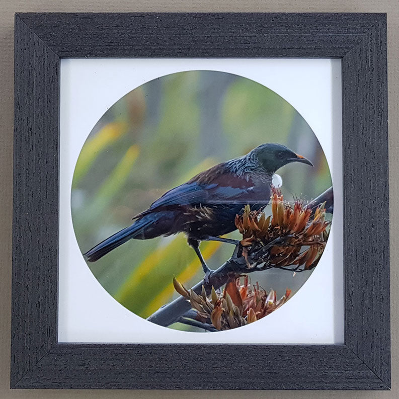 Insta Frames - Photoprints